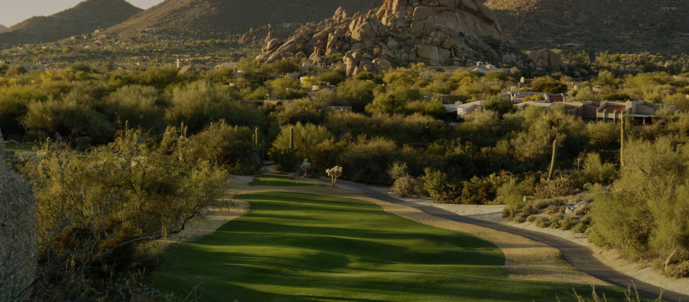 Case Studies - Endeavour